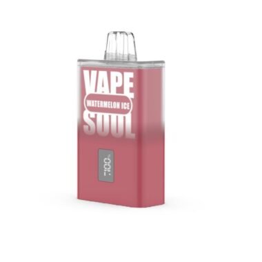 Vapesoul Disposable Vape Archives - India Vape Store